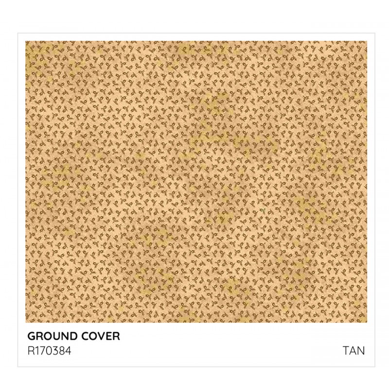Prairie Backgrounds Ground Cover R170384